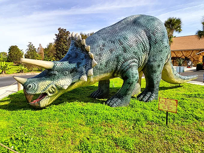T-Rex meets palm trees at Plant City's Dinosaur World. It's like time-traveling to a prehistoric Florida – minus the risk of becoming dino dinner.