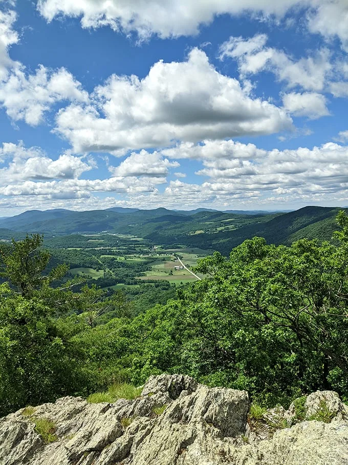 Where acrophobes meet their match and view-seekers find nirvana.