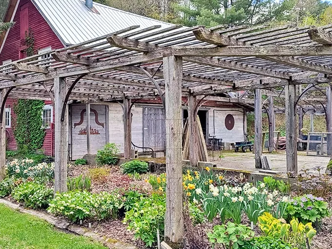Mother Nature's showing off again! This wooden pergola is like a catwalk for flowers – strutting their stuff in a dazzling spring fashion show.