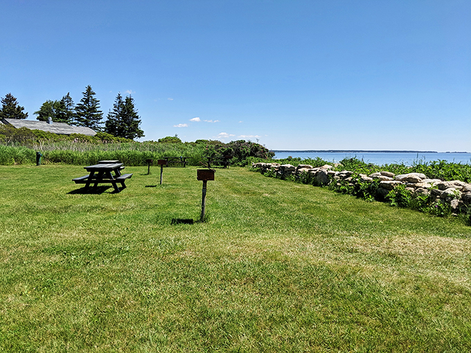 Picnic paradise found! This spot's got more charm than a basket full of puppies – and a view that'll make your sandwich taste even better.