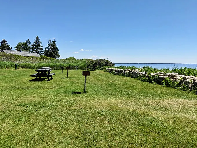 Picnic paradise found! This spot's got more charm than a basket full of puppies – and a view that'll make your sandwich taste even better.