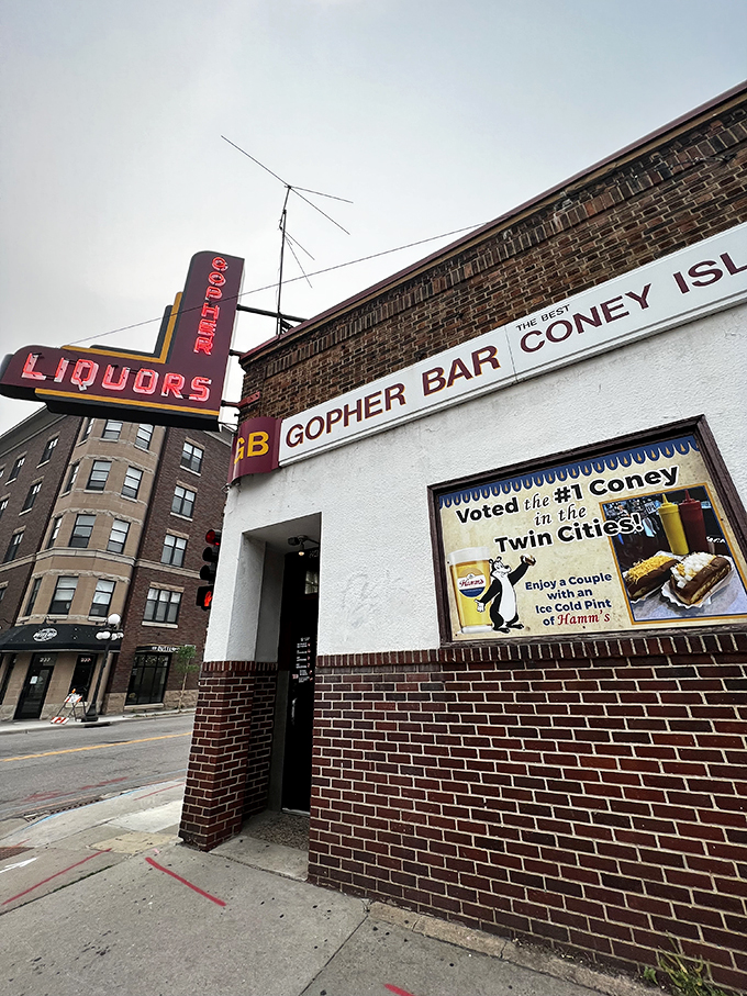 No road trip is complete without a dive bar stop. Gopher Bar elevates it to an art form.
