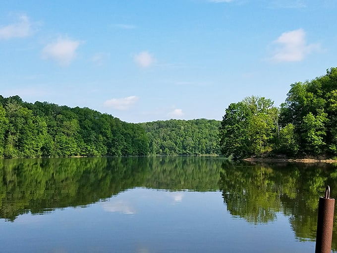 Road trip mirage? Nope, just Salt Fork's stunning shores beckoning weary travelers.
