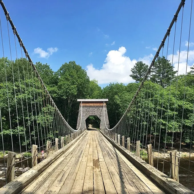 Engineering stripped bare! This skeletal wonder proves that sometimes, less structure means more adventure.