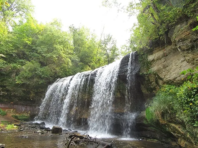 Cascade Falls: Where Main Street meets Mother Nature! It's like finding a gourmet restaurant in a gas station – unexpected and totally delightful.