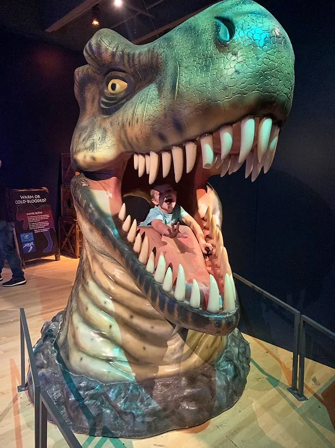 Open wide and say 'rawr'! The Grand Rapids Public Museum's T-Rex skull cast is a jaw-dropping glimpse into prehistory.