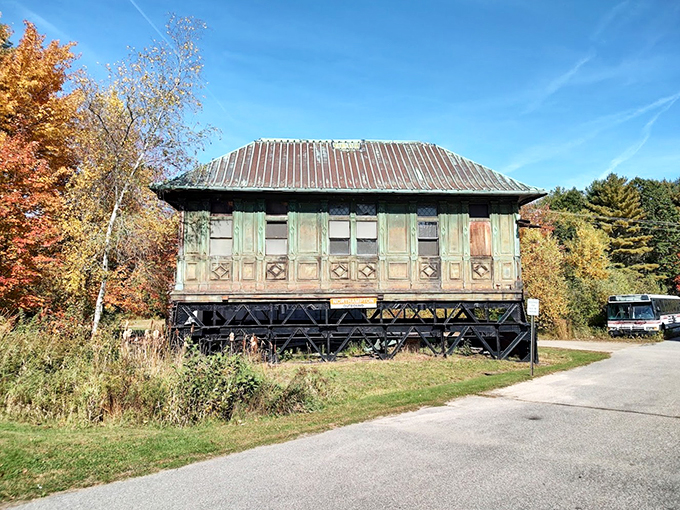 From streetcars to buses, this collection is a time capsule on wheels.