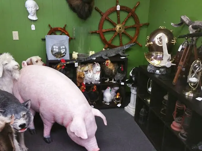 Noah's Ark meets Ripley's Believe It or Not! This menagerie of misfit toys is ready for the world's weirdest petting zoo.