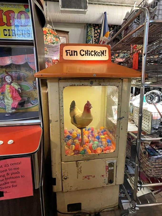 "Fun Chicken" indeed! This vintage claw machine proves that even poultry can have a good time in the right company.
