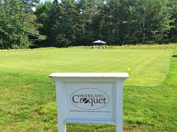 "Croquet: the sport of kings… and anyone who can lift a mallet." This pristine court is where friendships are tested and champions are crowned.