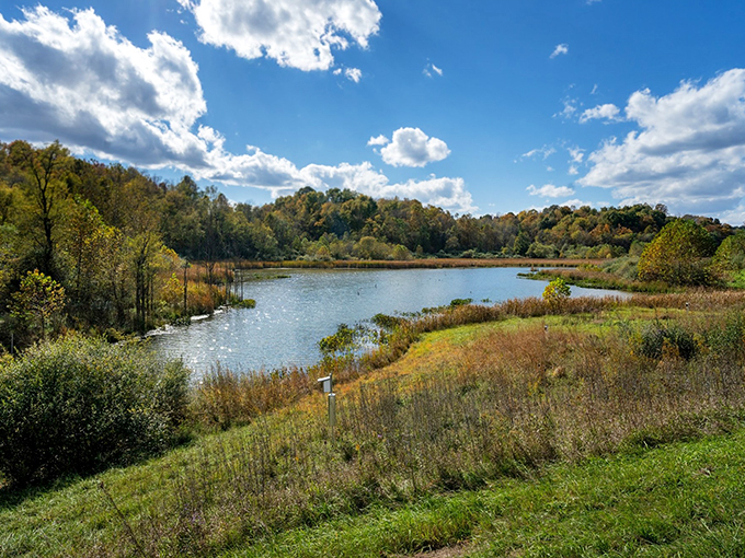 "Lakes, hills, and endless skies – Ohio's serving up a slice of paradise that would make Bob Ross reach for his paintbrush."