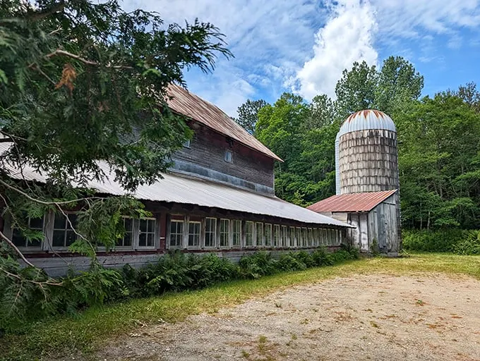 Old MacDonald had a farm, but this place has a picturesque mill! It's like stepping into a pastoral painting – just don't expect any eieio's.