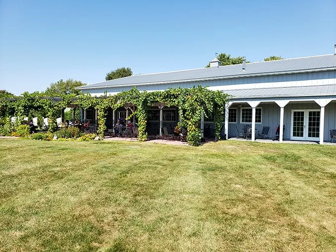 Roadside attraction reimagined! Lavender Crest turns the classic red barn into a wine lover's paradise.