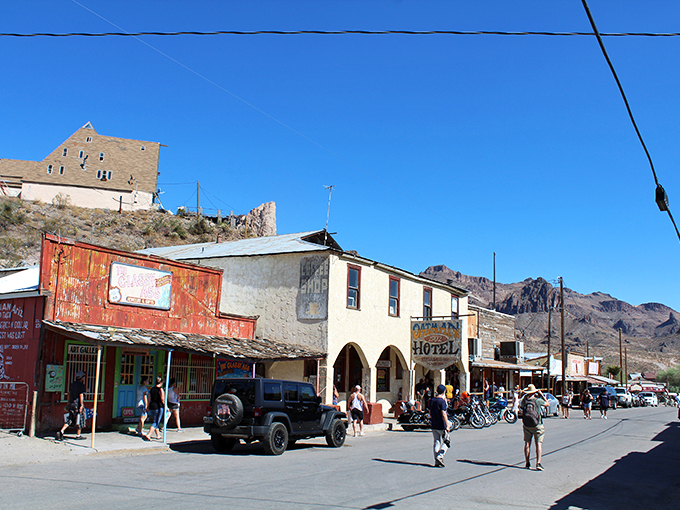 Honk if you love donkeys! This quirky town is the perfect detour for animal lovers and history buffs alike.