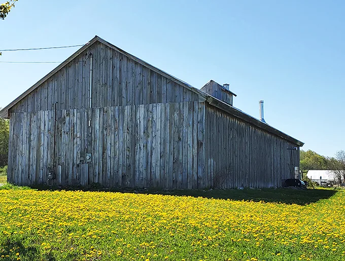 Palmer's Sugarhouse: Where spring flowers and syrup showers create a maple lover's paradise. Time to get sticky!