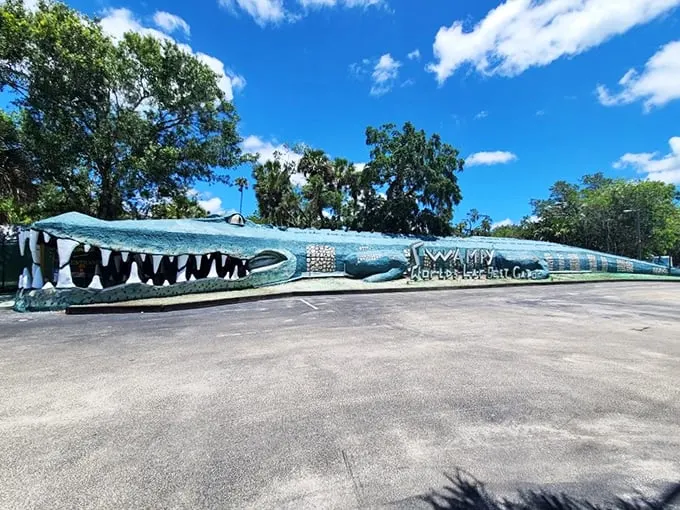 Crikey! Swampy the gator in Christmas, Florida, gives new meaning to 'see you later, alligator' – you can't miss this scaly giant!