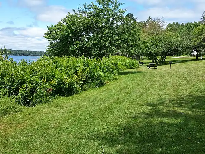 Frenchman Bay vista from Lamoine: Where every view is suitable for framing. Sorry, Windows wallpaper, you've been outdone.