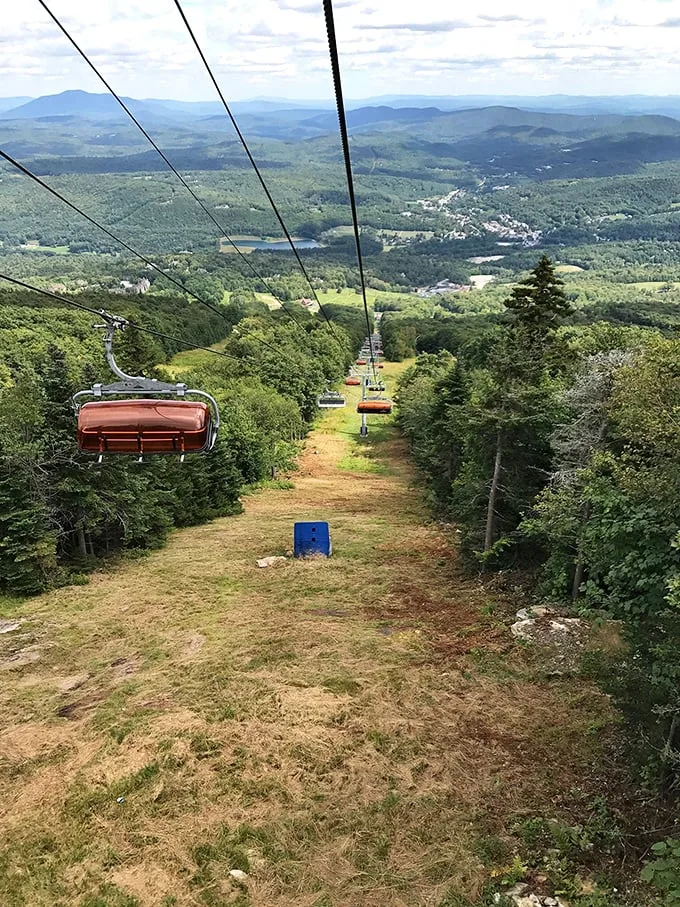 Green Mountains as far as the eye can see. Okemo's summit view is better than any big-screen TV nature documentary.
