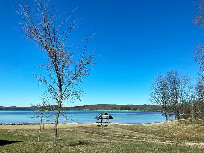 Wanderlust meets waterfront at Seneca Lake – the perfect pitstop for road-weary explorers.