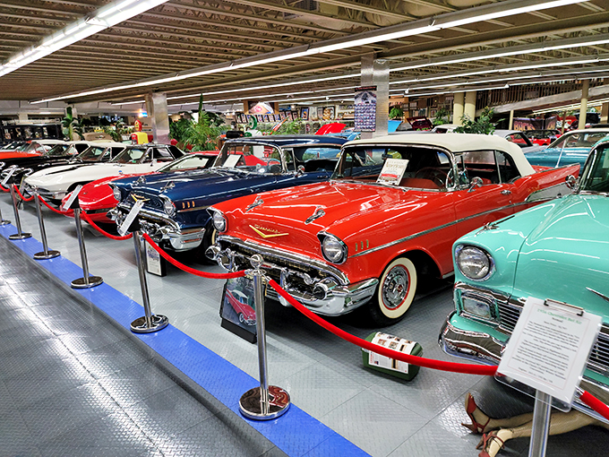 Cruise through time at this motorhead's mecca – no DeLorean required.
