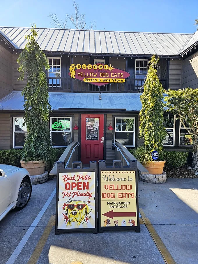 Doggy decor, flavors galore! Yellow Dog Eats serves up quirky charm with a side of seriously good BBQ.