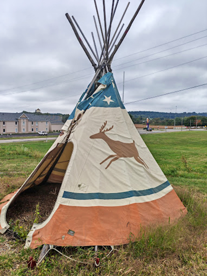 8 tipi