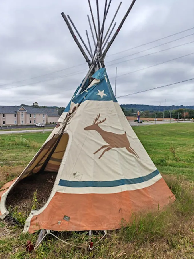 8 tipi
