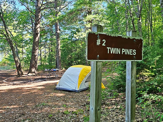 Camping goals: achieved. This cozy site nestled among twin pines is the stuff outdoor dreams are made of.