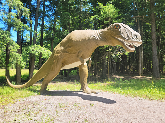 This T-Rex looks like he just heard a terrible prehistoric pun. Maybe something about being 'dino-sore'?