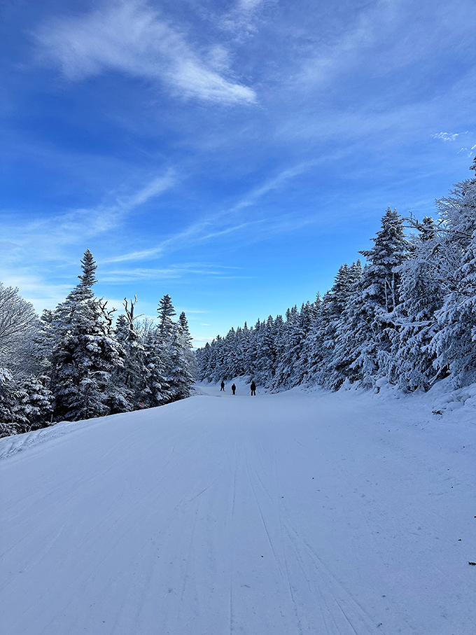 Nature's winter highway! Sugarbush's trails offer a journey through a real-life Narnia. Just watch out for snow queens and talking beavers along the way.