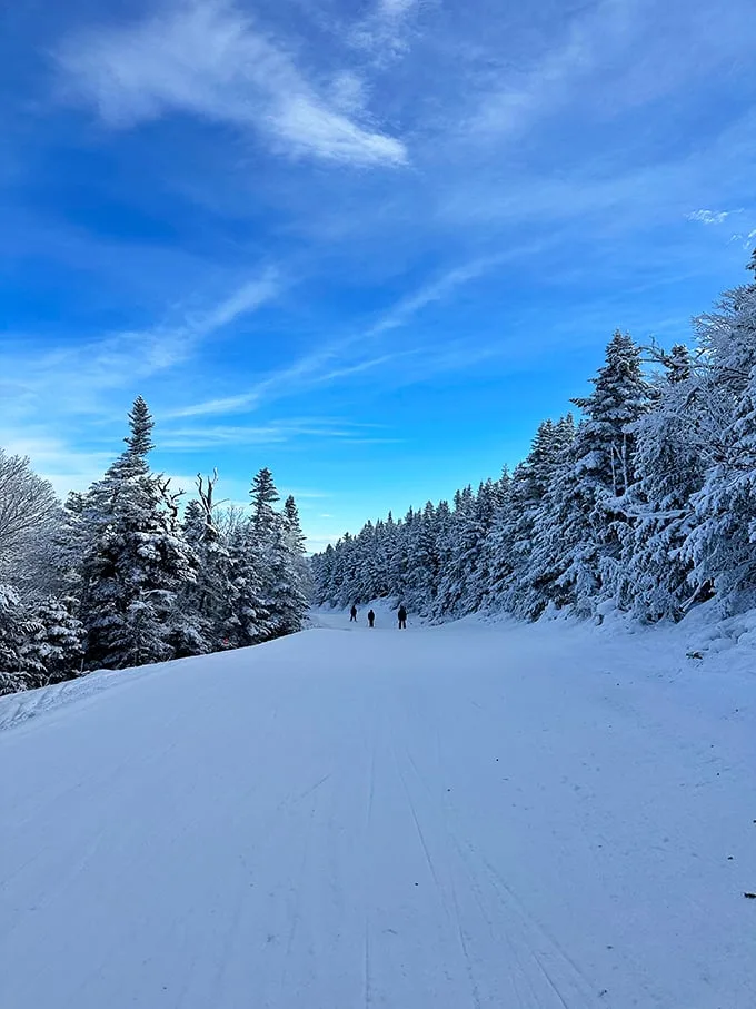 Nature's winter highway! Sugarbush's trails offer a journey through a real-life Narnia. Just watch out for snow queens and talking beavers along the way.