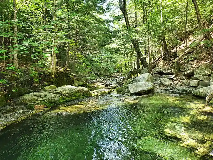 A hike with a delicious twist. Blueberry Mountain offers panoramic views and nature's own snack bar along the trail.