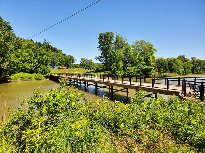 Detour to paradise: Atwood Lake's shores promise adventure for road-weary wanderers.