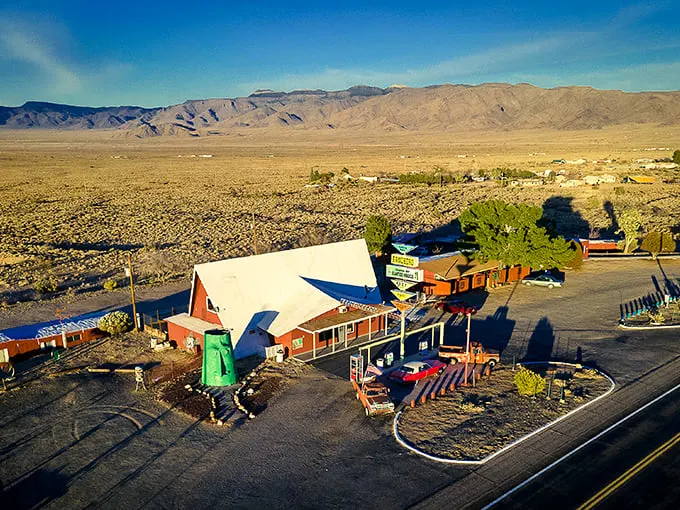 Green giant of the desert! Pull over for a photo op that's sure to be the talking point of your road trip album.