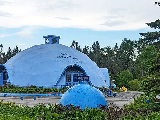 It's all coming up blueberries at this whimsical park dedicated to Maine's favorite fruit.