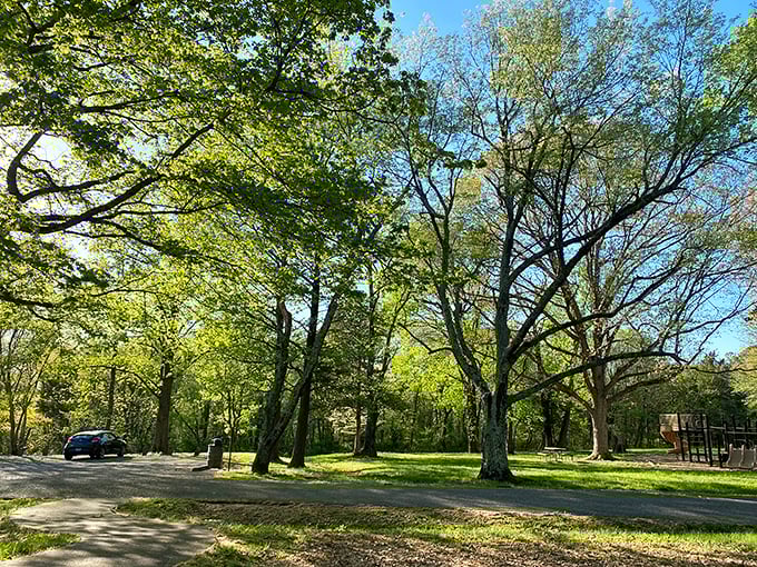 A scene straight out of a Bob Ross painting. Just imagine him saying, "Let's add some happy little trees right here."