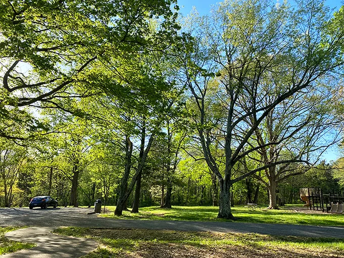 A scene straight out of a Bob Ross painting. Just imagine him saying, "Let's add some happy little trees right here."