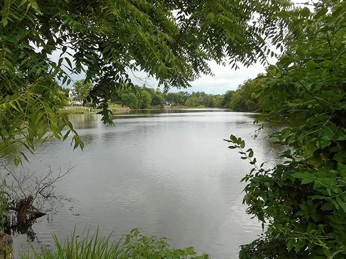 Mirror, mirror on the water... This serene lake reflects more than just trees – it's a window to Michigan's soul. Cue the loon calls!