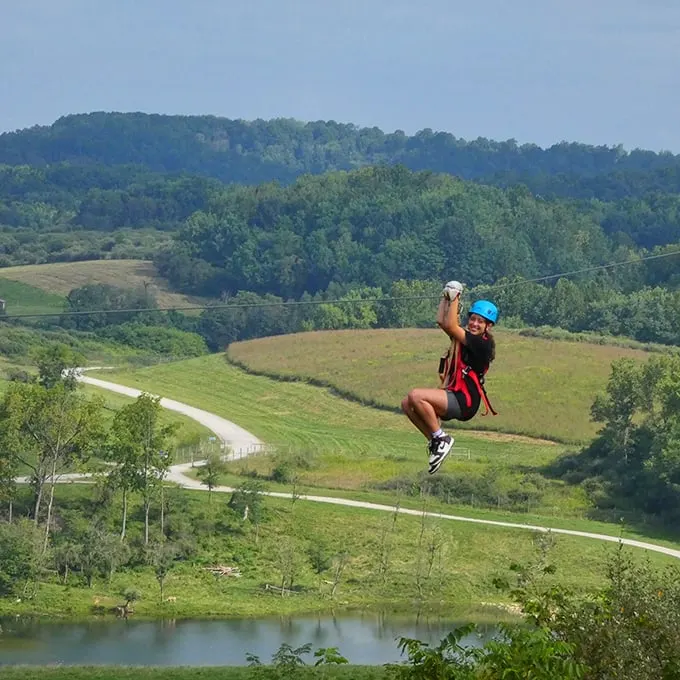 "Zip-a-dee-doo-dah! Soaring over savannas in Ohio – because why should African tourists have all the fun?"