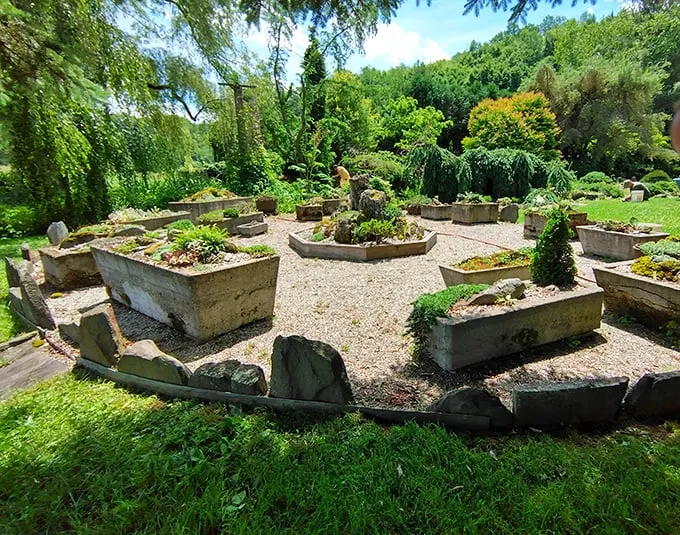 A garden so lush, it'll make you green with envy. These plants are living their best lives – talk about #gardengoals!