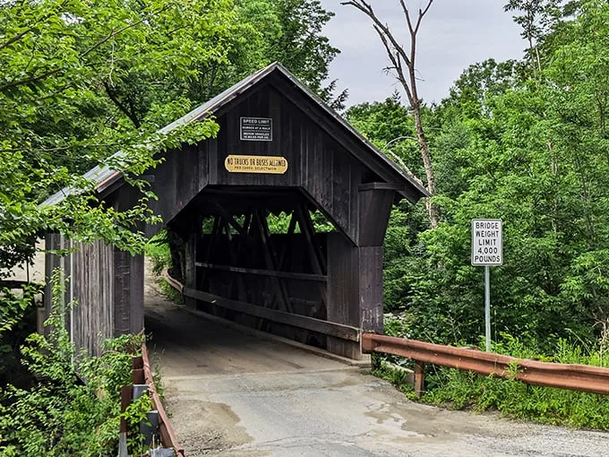 Nature's own Instagram filter turns this bridge into a portal to peak leaf-peeping paradise.