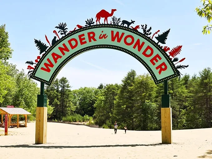 Sand dunes in the Pine Tree State? This geological oddity is Maine's quirkiest landscape.
