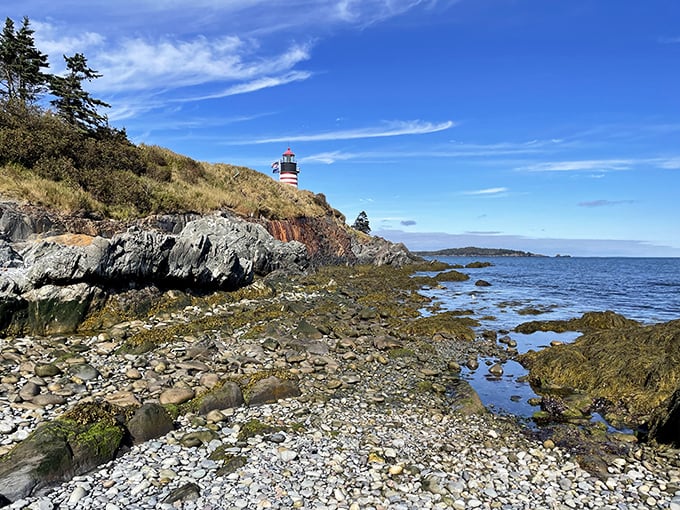 Quoddy Head's rugged coastline: Where the waves put on a show and the cliffs provide the best seats in the house.