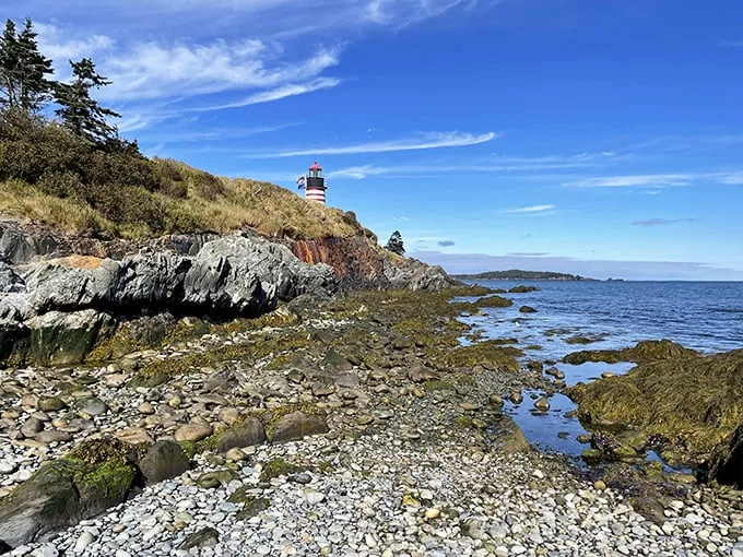 Quoddy Head's rugged coastline: Where the waves put on a show and the cliffs provide the best seats in the house.