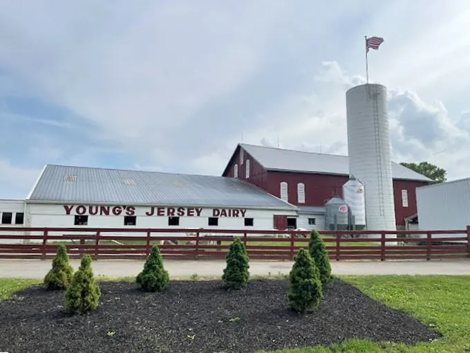 Holy cow! Young's Jersey Dairy is where calories don't count and the biggest worry is brain freeze from too much deliciousness.