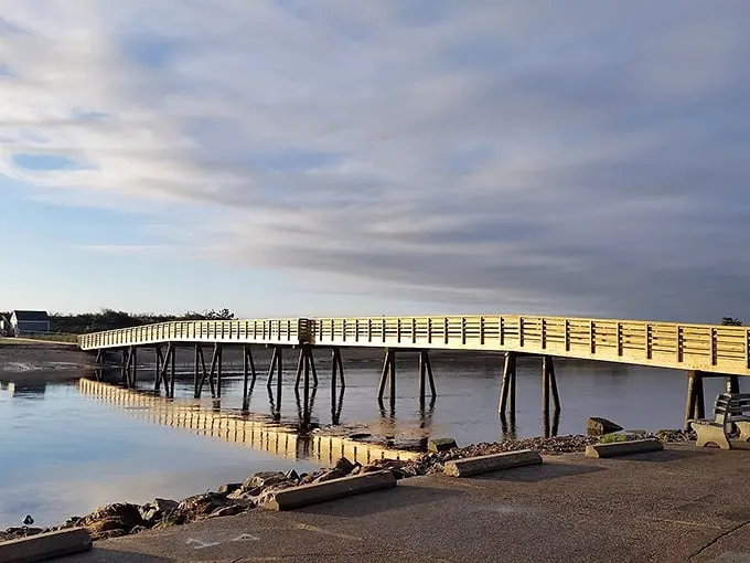 Who needs red carpets? This wooden walkway offers star treatment with its stunning coastal views and salty breezes.