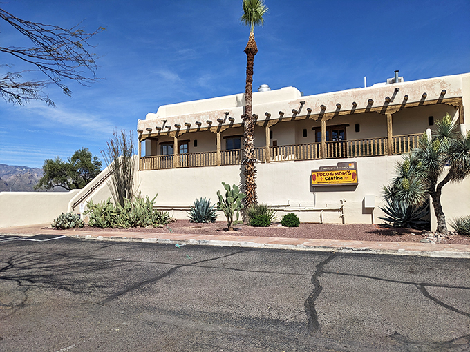 Adobe dreams and breakfast schemes: Tucson's tastiest wake-up call.