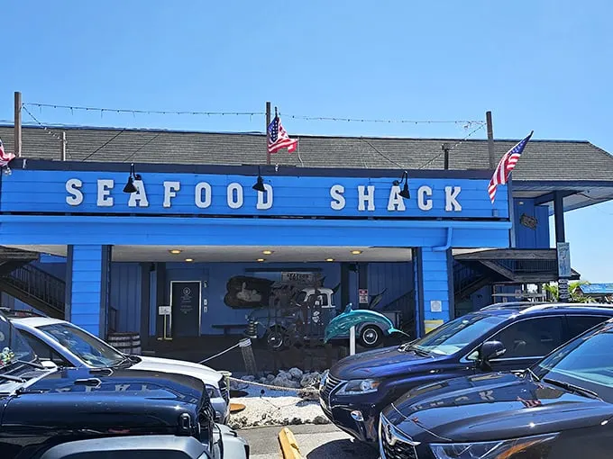 Seafood Shack by night: Where the lights twinkle almost as brightly as your eyes will when you see the menu.