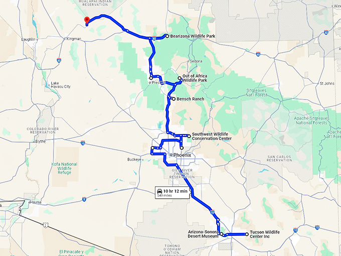 animal road trip arizona map