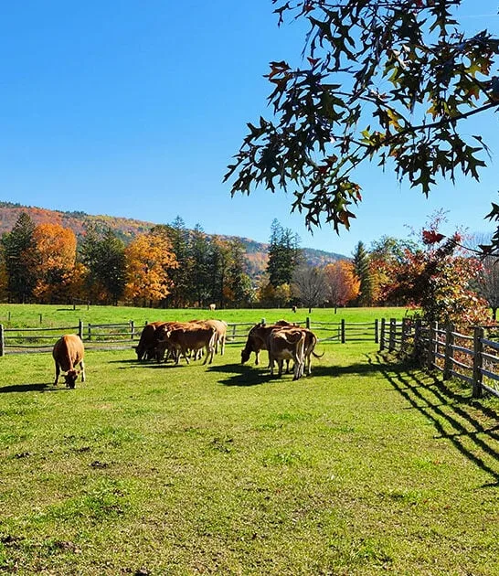 family road trip vermont FTR